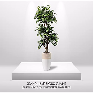 Hand-Made 6.5' Ficus Artificial Tree with Ethically Sourced Real Wood Trunks | Green | Cypress & Alabaster