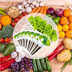 XFVFXZZ 121 Pcs Seed Pods Kit Compatible with Aerogarden, Suitable for Hydroponics Growing System for a Variety of Plants, Outdoor and Indoor Hydroponics Supplies