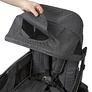 Radio Flyer Voya Stroller Wagon, 2 Seater Wagon Stroller for Kids with Low Sides, Baby Stroller Wagon, Double Stroller