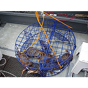 Promar Pacific Crabbing Kit, Blue, 30"