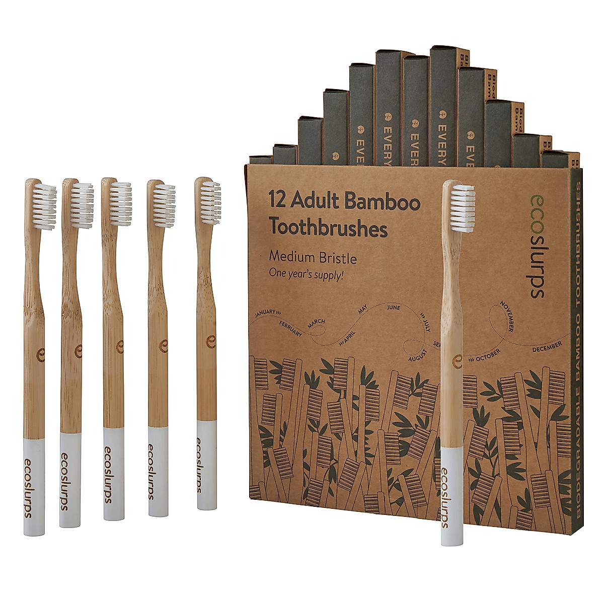 EcoSlurps 12 Bamboo Toothbrushes Multipack - One Years Supply of Bamboo Toothbrush - Bulk Biodegradable toothbrushes (12 Adult Medium, Multi-Colored)