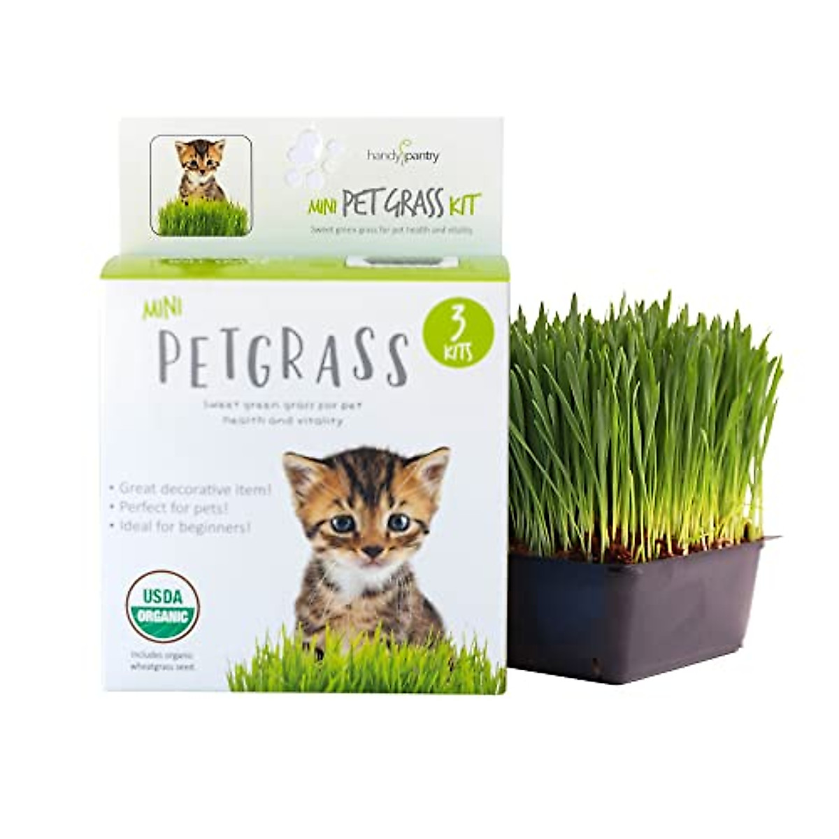 Handy Pantry Organic Cat Grass Kit - Includes 3 Trays, Soil Pucks, and 3 Packs Non GMO Wheatgrass Seed - A Healthy Treat For Cats, Dogs, Rabbits, More