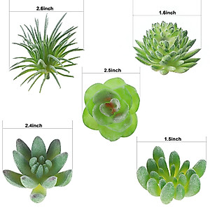 Fake Succulent, Artificial Succulents, Faux Succulents, Artificial Succulents Plants, Fake Succulent Unpotted, Bulk Artificial Succulents for Birthday Home Decor Indoor Wall Garden DIY, Pack of 13
