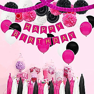 InBy 45pcs Hot Pink Black Birthday Party Decorations Kit Baby Girl Shower Women Rose Red Happy Birthday Banner 10" Tissue Paper Flower Pom Pom Paper Fan Tassel Garland 12" Latex Balloon Party Supplies