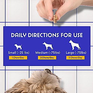 Wonder Paws Skin & Coat Supplement for Dogs with Salmon Oil, Omega 3 & 6, EPA & DHA, Promotes Healthy Skin and Coat, Itchy Relief, Joint and Overall Health, Delicious Flavor, 70 skin & coat Soft Chews