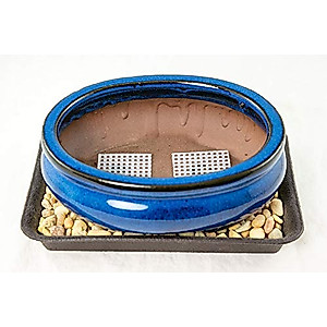 6" Oval Dark Blue Mame Shohin Bonsai/Succulent Pot + Tray + Rock + Mesh Combo