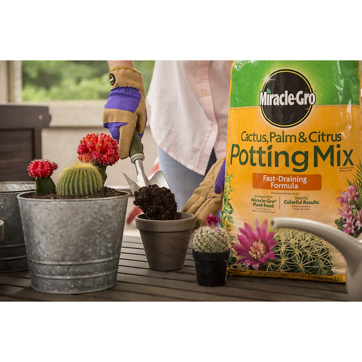 Miracle-Gro Cactus, Palm & Citrus Potting Mix, 8 qt. (3-Pack)