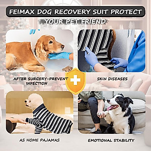 FEimaX Dog Recovery Suit After Surgery, Pet Abdominal Wounds Post Surgical Shirt for Dogs Cats, Puppy Spay Neuter Prevent Licking Onesie Alternative Bandages E-Collar & Cone