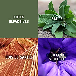 Geoffrey Beene Grey Flannel 2 Piece Fragrance Gift Set for Men, 4.0 fl oz