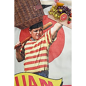 Bioworld The Sandlot Ham Porter Soft Plush Fleece Throw Blanket 45" x 60"