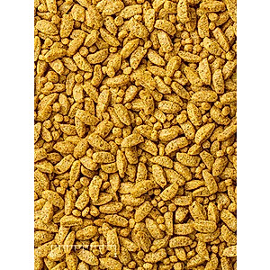 Mazuri | Nutritionally Complete for Small Birds | 2.5 Pound (2.5 lb.) Bag