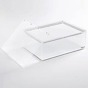 REPTI ZOO Magnetic Acrylic Enclosure, 16x12x6 Inch 5 Gallon Reptile Breeding Box Habitat Terrariums Cage for Tarantula Scorpion Sling Isopods Lizards Roach Invertebrates Spider Snake