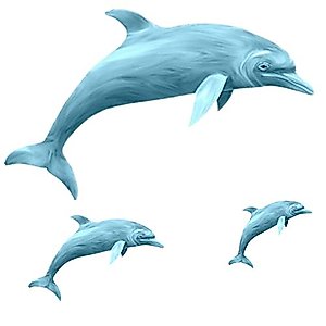 Amaonm Removable 3 Pcs Jumping Blue Dolphin Wall Decals DIY Wall Stickers 3D Nursery Art Decor Peel Stick Decoration Decal for Girls Bedroom Kids Bathroom Living Room Window Door Sticker Murals