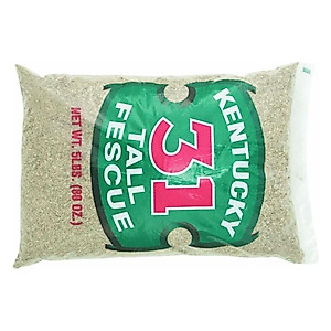 Barenbrug Tall Fescue Grass Seed 5 lb.