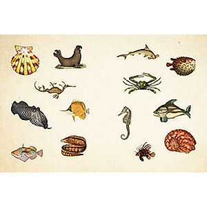 Cabinet of Curiosities: Over 1,000 Curated Stickers from the Fascinating Collections of the Smithsonian