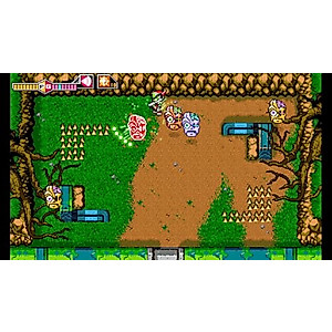 LIMITED RUN GAMES 1188498 Blaster Master Zero 3 (Limited Run #109) (Import),Black