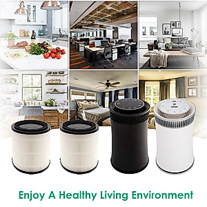 Flintar H13 True HEPA Replacement Filter, Compatible with SilverOnyx 5-Speed Air Purifier KJ150F-C02, 3-in-1 H13 Grade True HEPA filter, For Large Room 500 sq ft, 2-Pack