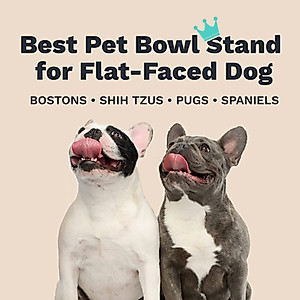 Enhanced Pet Bowl Stand - New Anti-Skid Feature - Dog and Cat Bowl Stand Exclusively for Use with The Corresponing Size Enhanced Pet Bowl (Medium)