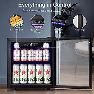Antarctic Star Mini Fridge Cooler - 12 Bottle 48 Can Beverage Refrigerator Glass Door for Drinks or Beer Wine –Small Drink Dispenser for Home, Office or Bar, Electronic Knob Control，1.3cu.ft.