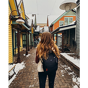 Sherpani Dispatch, Convertible Backpack Tote, Travel Backpack, Crossbody Bags for Women, Laptop Backpack, Fits 13 Inch Laptop (Raven V1)