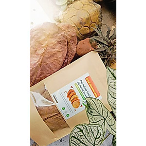 Pufa Great Emperor shop Premium Indian Almond Leaves Medium Catappa for Betta Fish & Shrimps|Best / Shrimp |Indian Almonds Naturally sourced Help Boost immunity 65g.