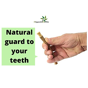 Organic Herbs Traditional Natural Miswak (sewak) Peelu Chewing Stick Toothbrush for Whiter Teeth -20 Pc