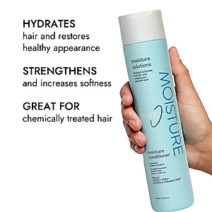 ion Moisture Conditioner, Moisturizing Treatment, Vegan, Paraben Free, Hydrating, Reduces Breakage