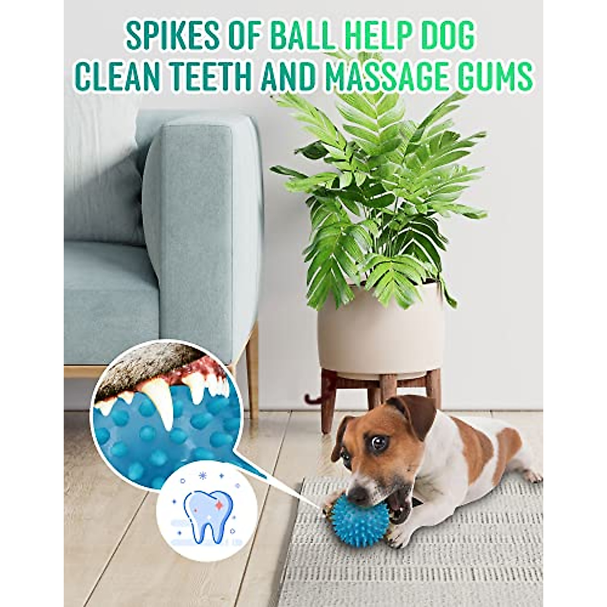 2.5" Squeaky Dog Balls for Small Medium Dogs, 6 Pack Small Dog Chew Toys with Spike, Puppy Toys for Teeth Cleaning and Training