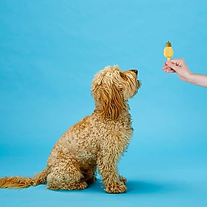 Pup Ice- Ready to Freeze at Home Dog Treats-Edible Chews for Small Breed Dogs & Puppies with Real Chicken to Keep Your Pup Cool Year Round, Fruity Lollies Pineapple Flavor, 3pcs