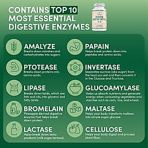 Digestive Enzymes - 800mg Blend of All 10 Most Essential Digestive and Pancreatic Enzymes (Amylase, Lipase, Bromelain, Lactase, Papain, Protease, Cellulase, Maltase, Invertase) by Double Wood
