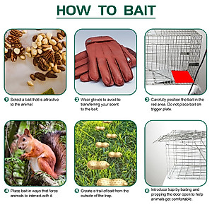 EPESTOEC 17.3" Heavy Duty Squirrel Trap, Folding Live Small Animal Cage Trap, Humane Traps, Catch and Release.