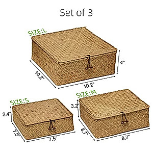 TICYACK Straw Storages Baskets With Lid, Hand-Woven of Seagrass Square Storage Bins, for Desktop Home Decoration (S/M/L)