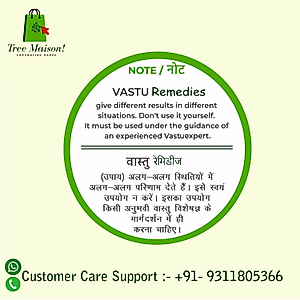 Treemaison Vastu Shakti Chakra | Size- 6 Inch | Material - Acrylic | Featuring 45 Devtas | 16 Attributes | Health Chart | Rajas | Sattav | Tamas | vastu Shashtra | Transparent