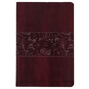 The Passion Translation New Testament, Burgundy, Large Print (Faux Leather) – In-Depth Bible with Psalms, Proverbs, and Song of Songs, Makes a Great Gift for Confirmation, Holidays, and More