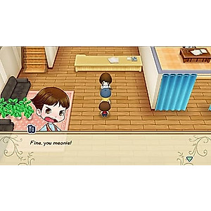 Story of Seasons - Friends Of Mineral Town (Nintendo Switch)