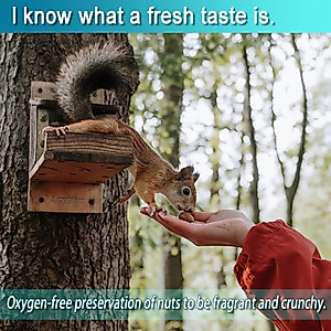 150 PCS Oxygen Absorbers for Food Storage Long Term, 500cc Food Grade Oxygen Obsorbers with Oxygen Indicator for Mylar Bags, Tupperware Plastic, Freeze Dryers & Dehydrators