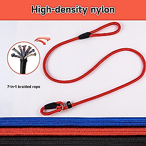 FOVRLZSE 3pcs Slip Lead Dog Leash,Strong Nylon Rope Leash,Training Leash for Large Medium and Small Dogs