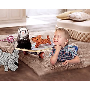 HAICHEN TEC 6 Pack Ferret Rope Chew Toys Durable Knotted Rope Tug Perfect for Teething Mammals, Cotton Rope Toys Interactive Dog Rope Toy Set Machine-Washable (6 Pack)