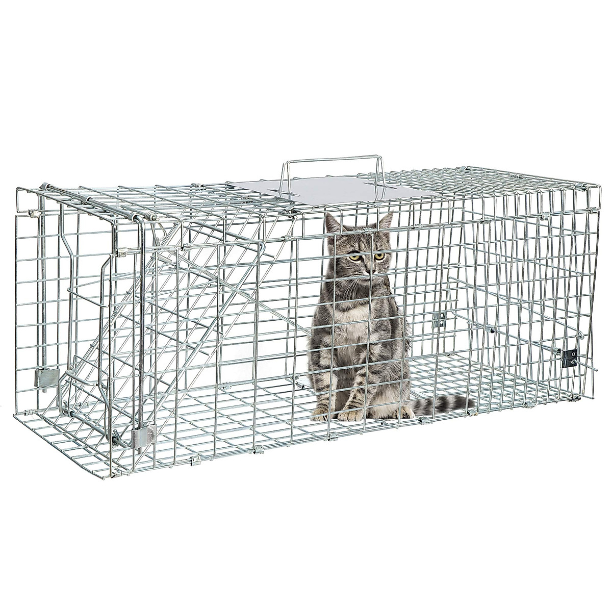 ANT MARCH Live Animal Cage Trap 32"x11.5"x13" Steel Humane Release Rodent Cage for Rabbits, Stray Cat, Squirrel, Raccoon, Mole, Gopher, Chicken, Opossum, Skunk, Chipmunks, Groundhog