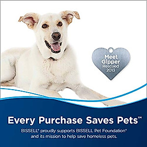 Bissell 1930 CrossWave Area Rug Cleaning Formula, 32 oz