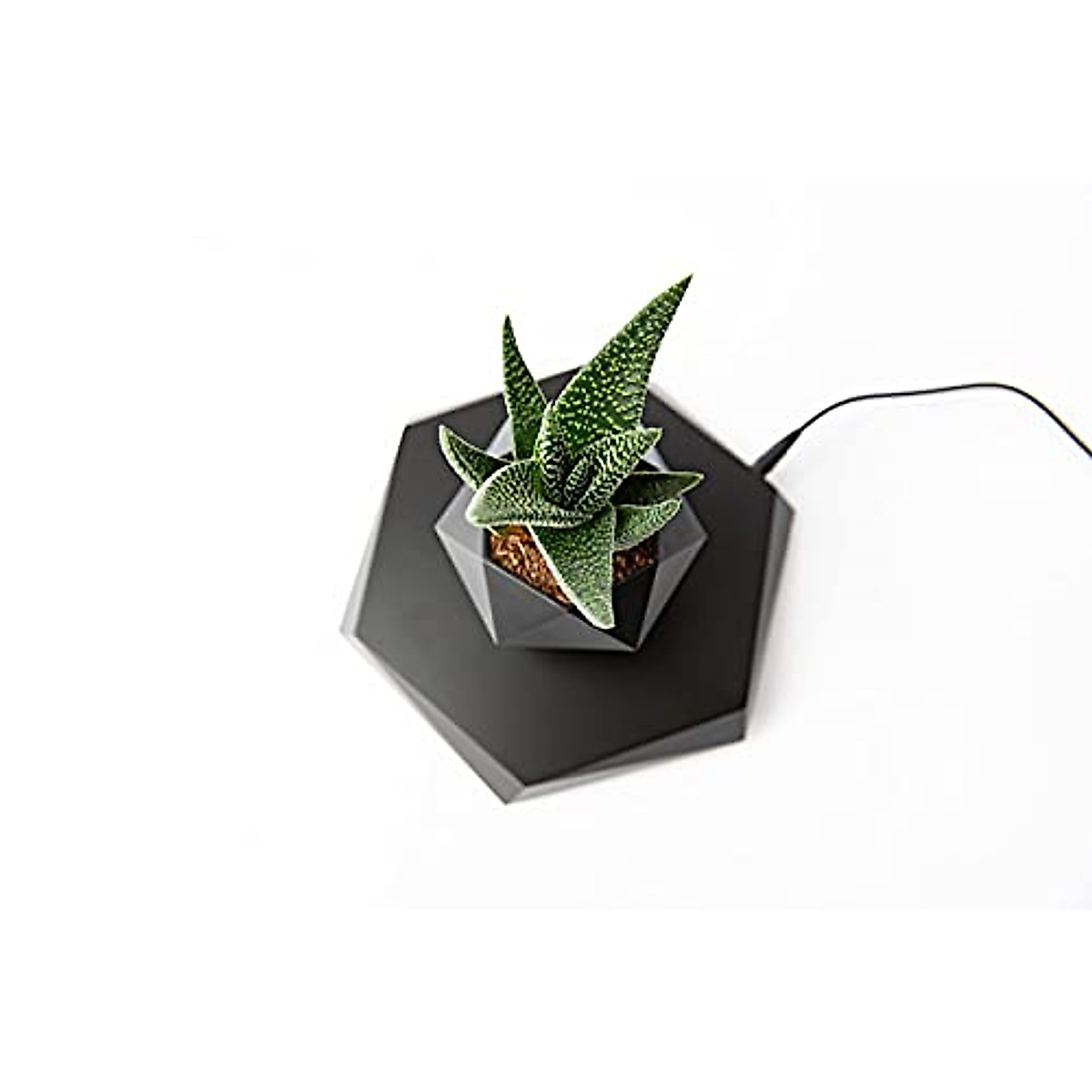 BandD Floating Plant Pot - Levitating Plant Pot for Succulents, air Bonsai & air Plants. Floating Planter for Home, Office & Desk Levitating Decor. Magnetic Floating Levitating Display. (Black)