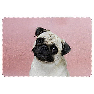 Cute Pug and Puppy Dog Pink, Indoor Door Mat Durable Front Door Mats Entryway Rug Non-Slip Absorbent Area Rugs Resist Dirt Rugs for Room Decor, 24"x16"