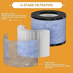Allisfresh C102 MA-01CW True HEPA Replacement Filter Compatible with Miko Ibuki C102 Air Cleaner Purifier and Okaysou AirMic4S, True HEPA Filter Set, 2 Pack