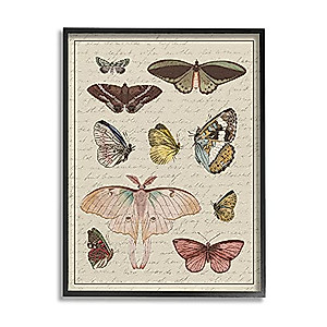 Stupell Industries Vintage Moth and Butterfly Wing Study Over Script, Designed by Daphne Polselli Black Framed Wall Art, 11 x 14, Multi-Color