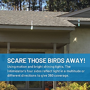 Bird Barrier The Intimidator - Professional Grade Bird Deterrent w/Wind-Twisting Scare Rods - Motion-Activated Woodpecker Deterrent w/Reflective Discs - Scare Device Keeps Birds from Building Nests