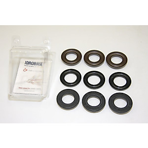 General Pump and Interpump Repair Kit 69 Seal Packing