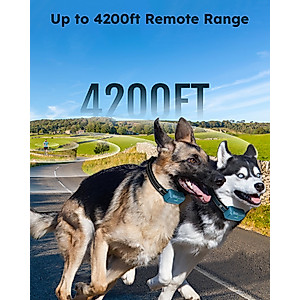 Jugbow Dog Shock Collar 2 Dogs - 4200FT Dog Training Collar with Remote, IPX8 Waterproof E Collar for Dogs Training Rechargeable Collars for Large Medium Small Dogs (10-120lbs)