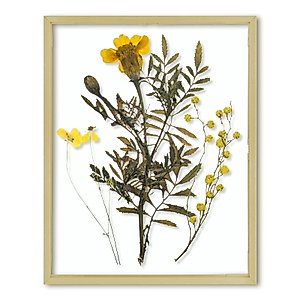 Frametory, Floating Picture Frame 11x14 - Gold Aluminum Metal Photo Frame - Real Glass of Front - for Wall Mount Displays