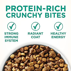 Purina ONE Sensitive Stomach, Sensitive Skin, Natural Dry Cat Food, +Plus Sensitive Skin and Stomach Formula - 7 lb. Bag