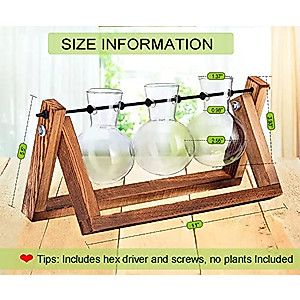 Kingbuy Plant Propagation Stations Terrarium Glass Desktop Planter with Retro Wooden Stand 3 Bulb Vases for Hydroponics Indoor Office Desk Home Decor, Plant Holder Lover Gifts for Women